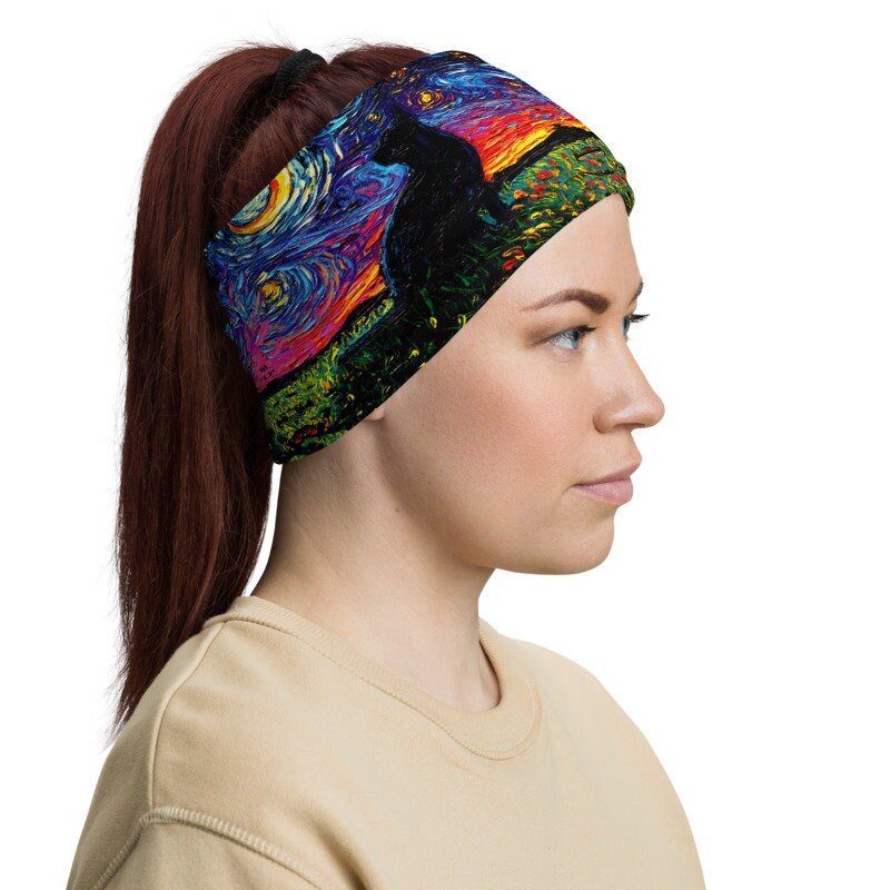 Black Cat Silhouette Starry Night Art Face Mask Face Shield - Etsy