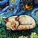Sleeping Flame Point Siamese Cat Art Starry Night Art Print Picture by ...