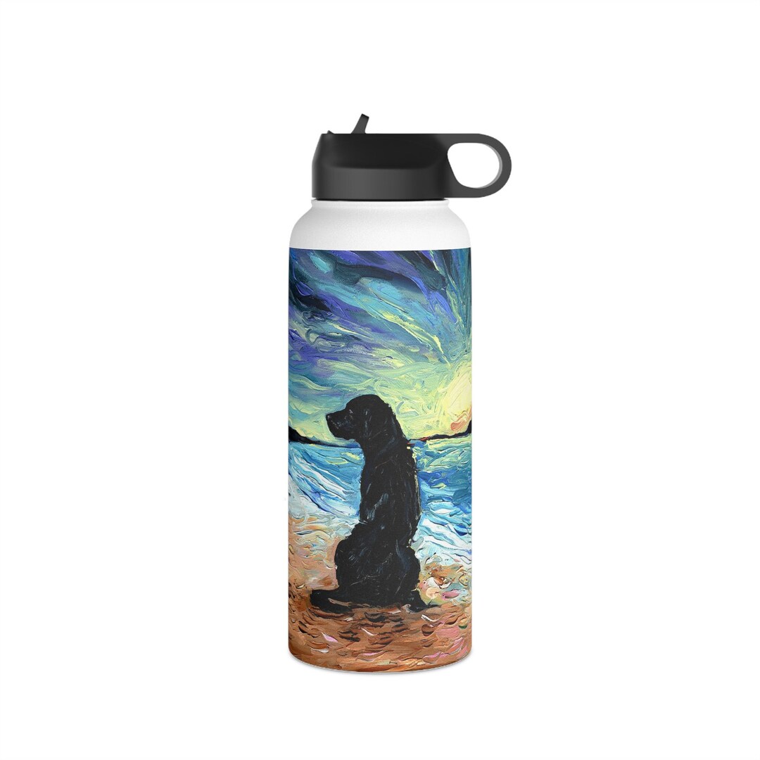 Stainless Steel Water Bottle With Standard Lid - Beach Days Black ...