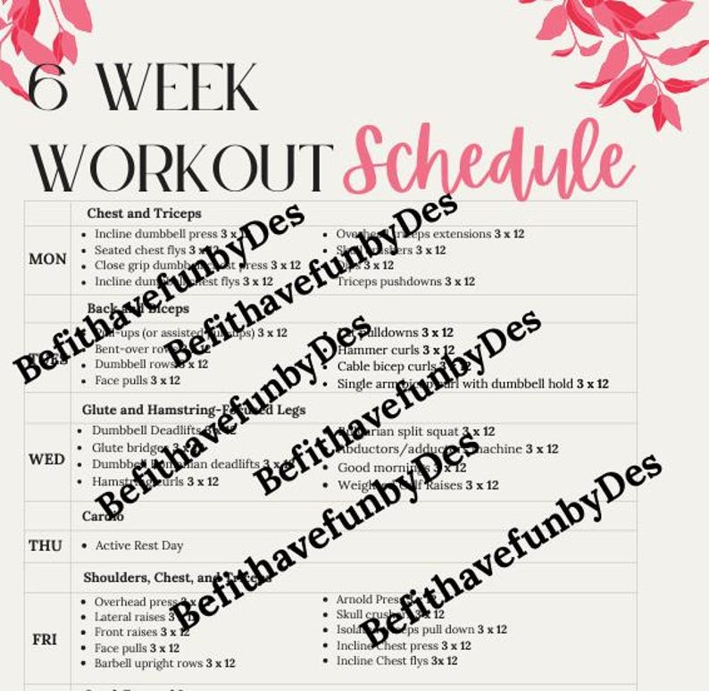 6 Week Workout Schedule - Etsy