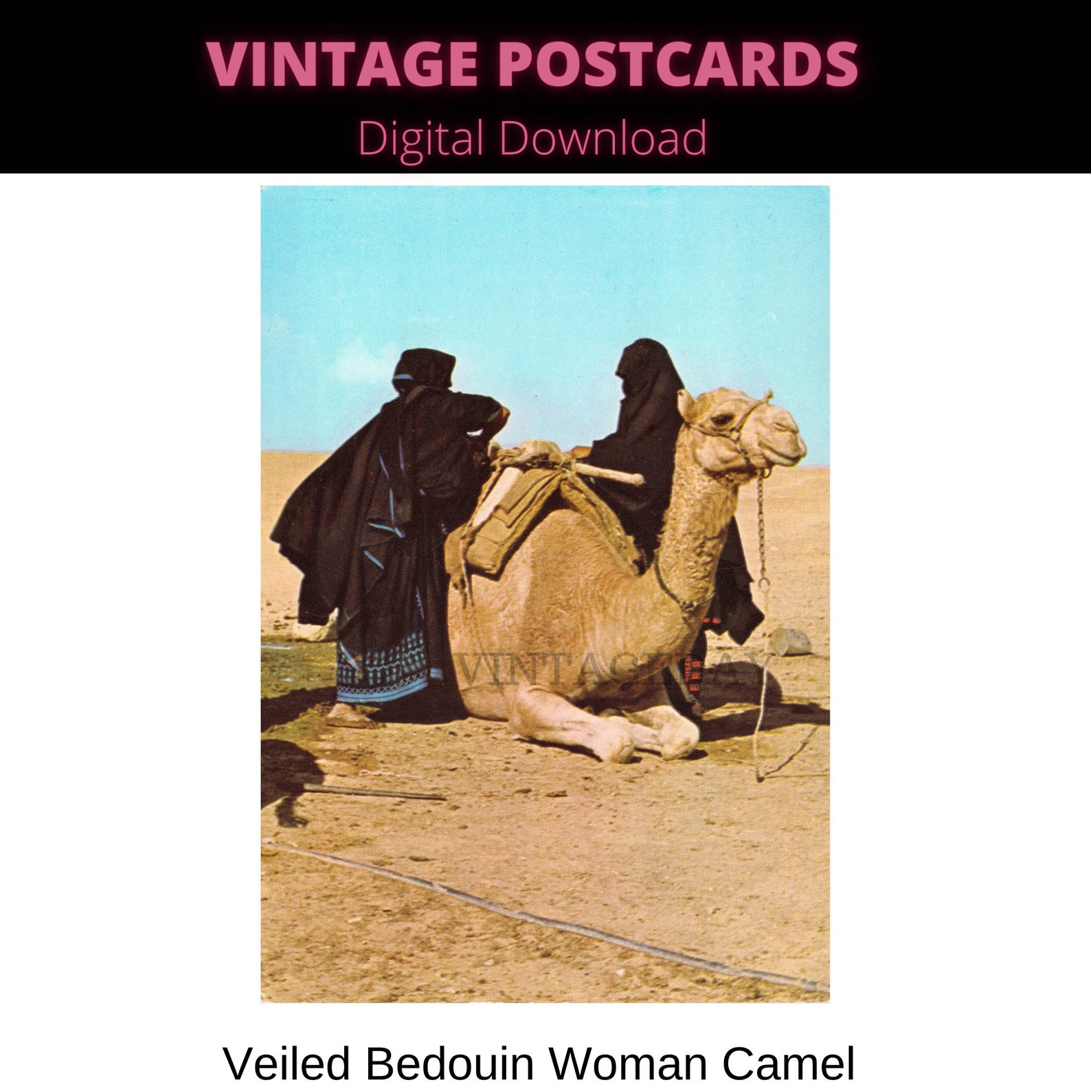 Israel Picture Postcards Vintage Holy Land Instant Digital Download - Etsy