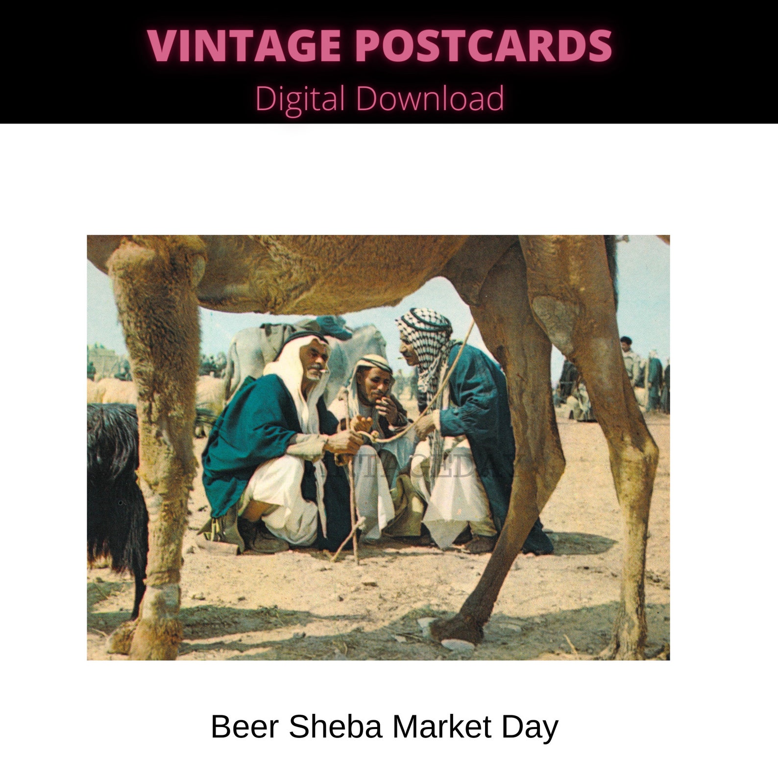 Israel Picture Postcards Vintage Holy Land Instant Digital Download - Etsy