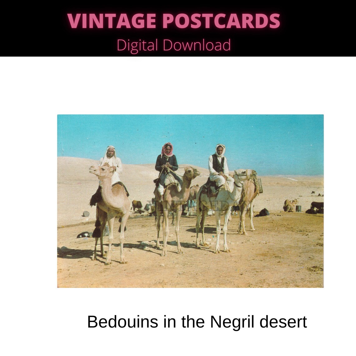 Israel Picture Postcards Vintage Holy Land Instant Digital Download - Etsy