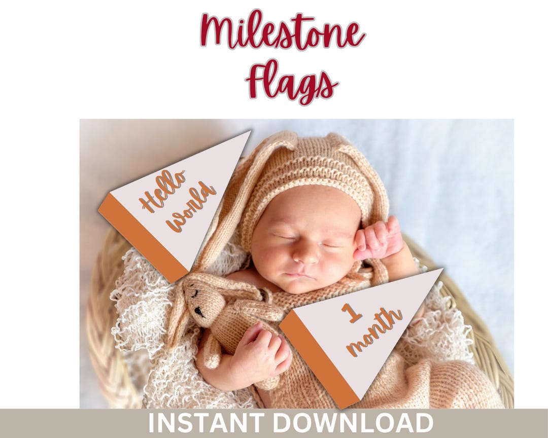 Monthly Milestone Pennant Flags, Printable Milestone Flags, Baby Shower ...