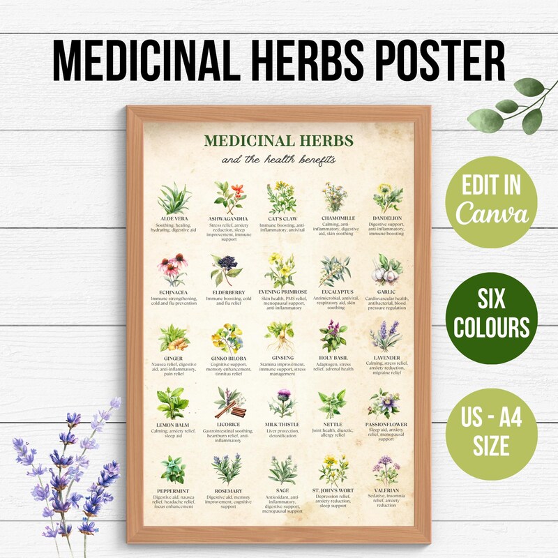 Herb Poster - Etsy