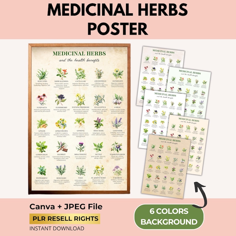 Herb Poster - Etsy