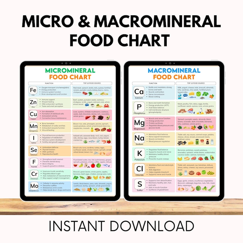 Mineral Food Chart, Micronutrients Chart Sheet, Mineral Food Sources ...