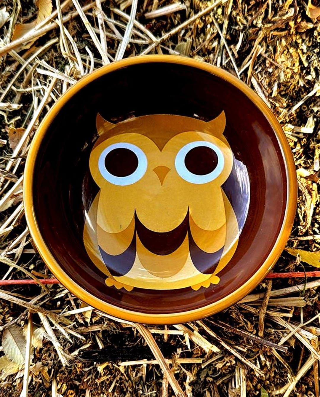 1970’s Vintage Mesa Owl Dishes - Etsy