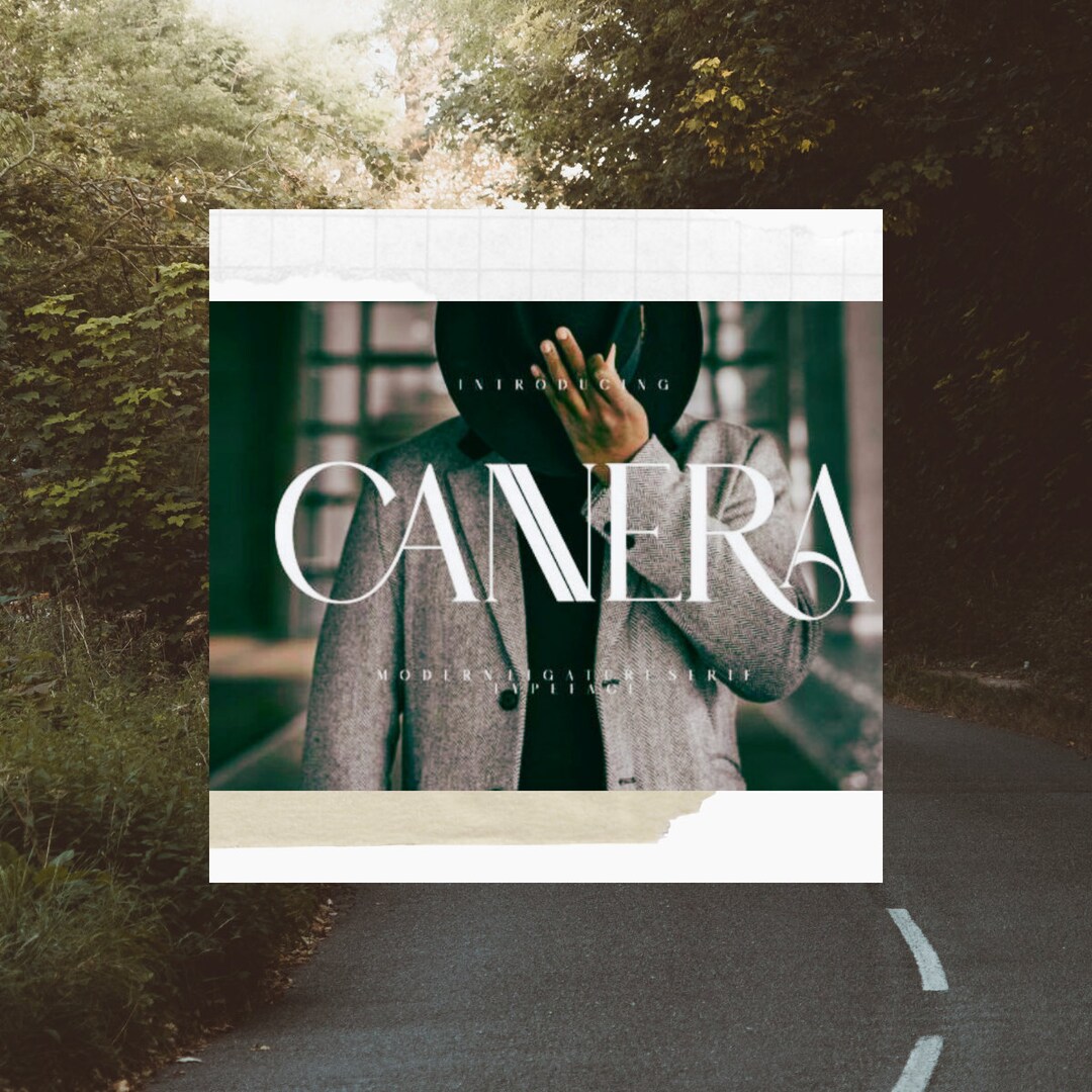 CANNERA Font Digital Serif Font, Canva Font, Procreate Font, Rustic ...