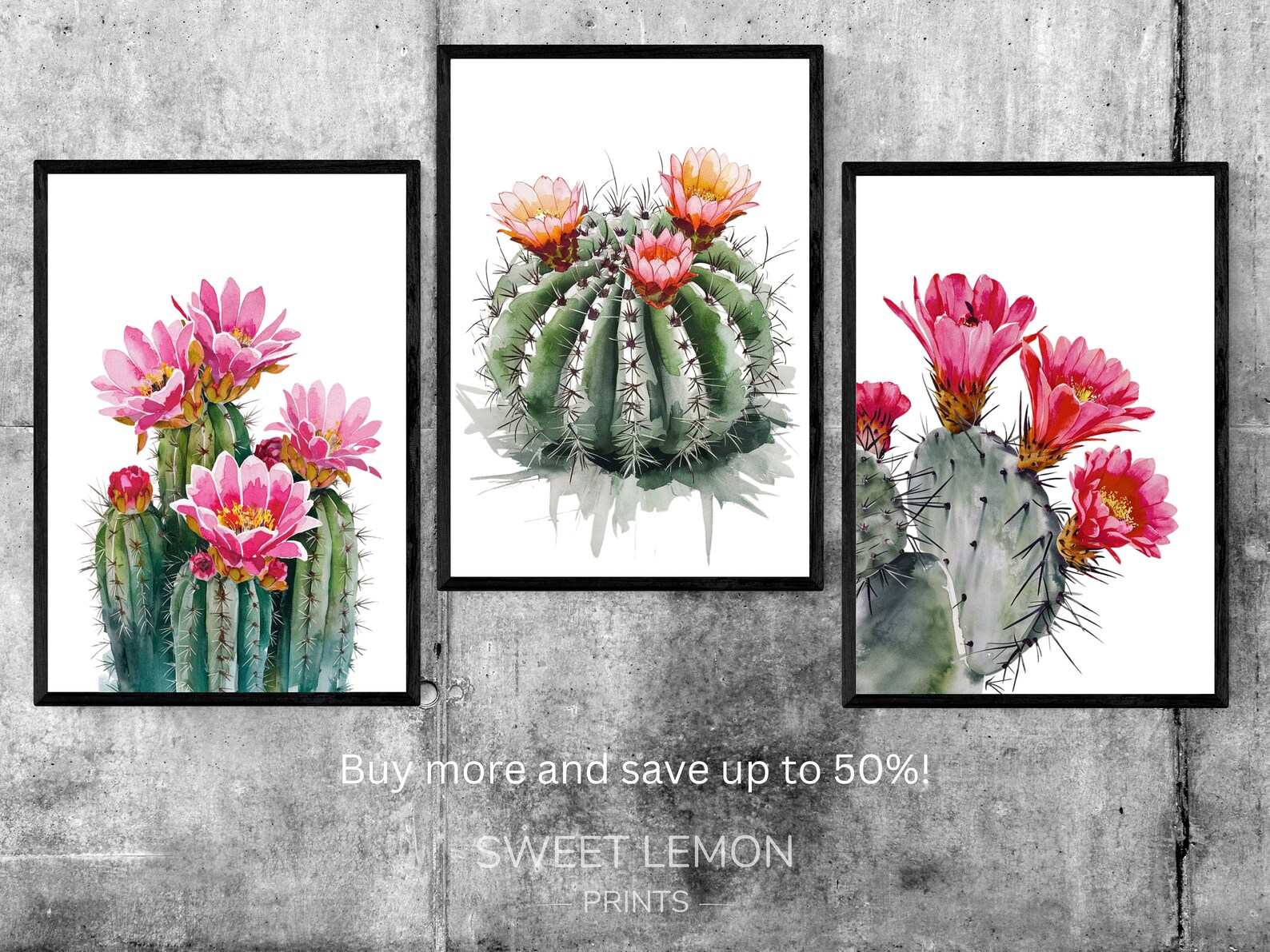 Cactus Art Print, Blooming Cactus Print, Barrel Cactus Print, Desert ...