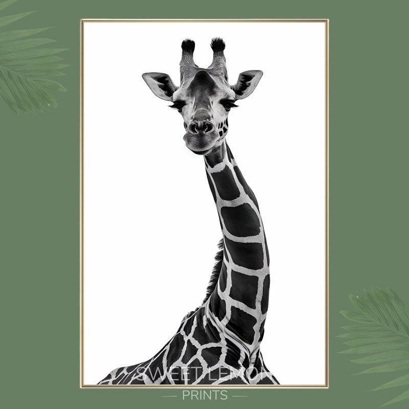 Giraffe Poster - Etsy