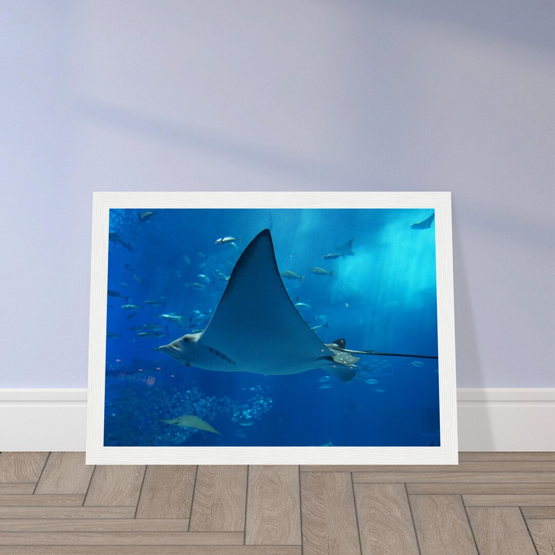 Fine Art Stingray Wall Art Photography Print - Wooden Framed Print Home ...