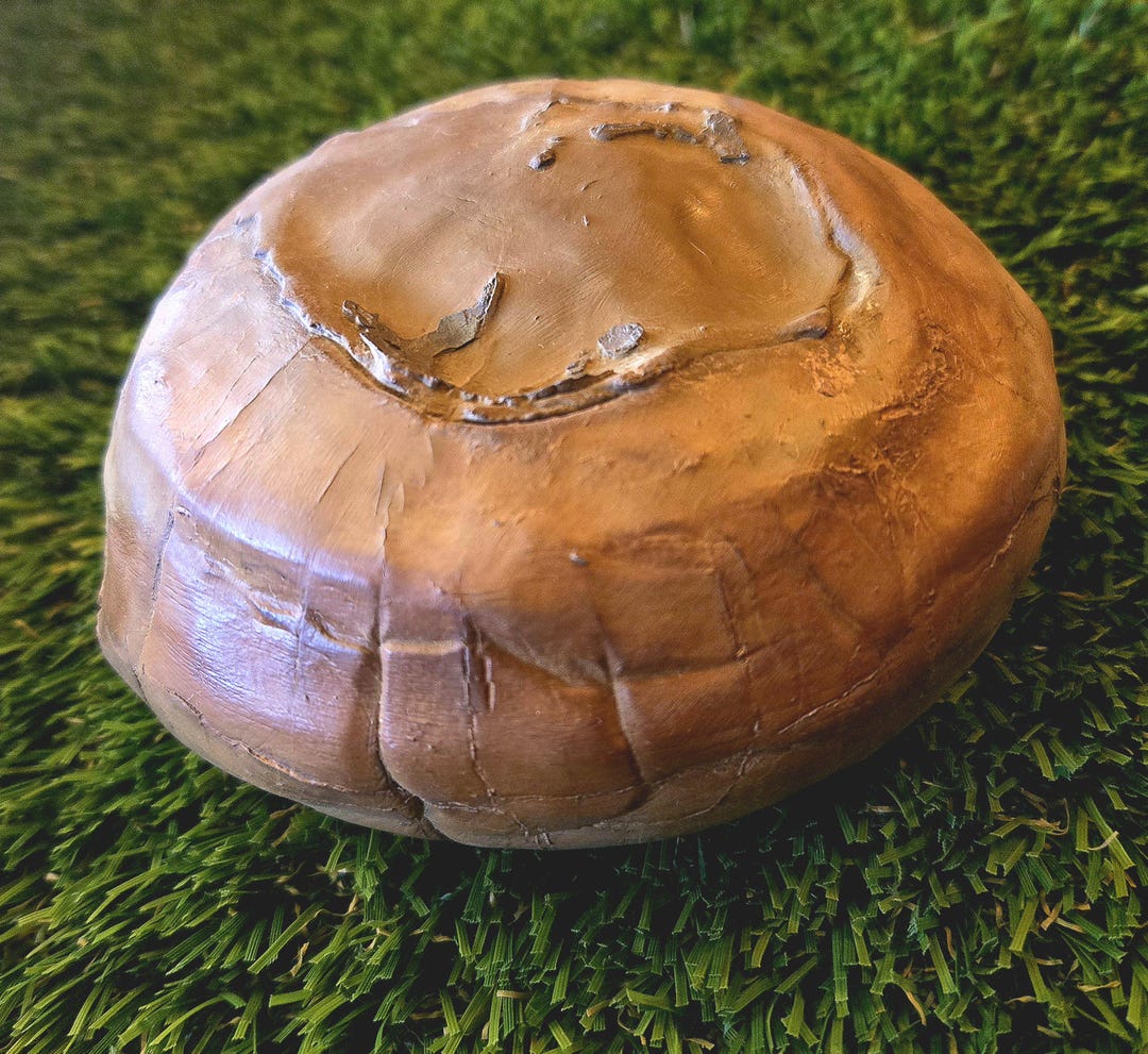 Raw Septarian Stone / Dragons Egg / Nodule - Etsy