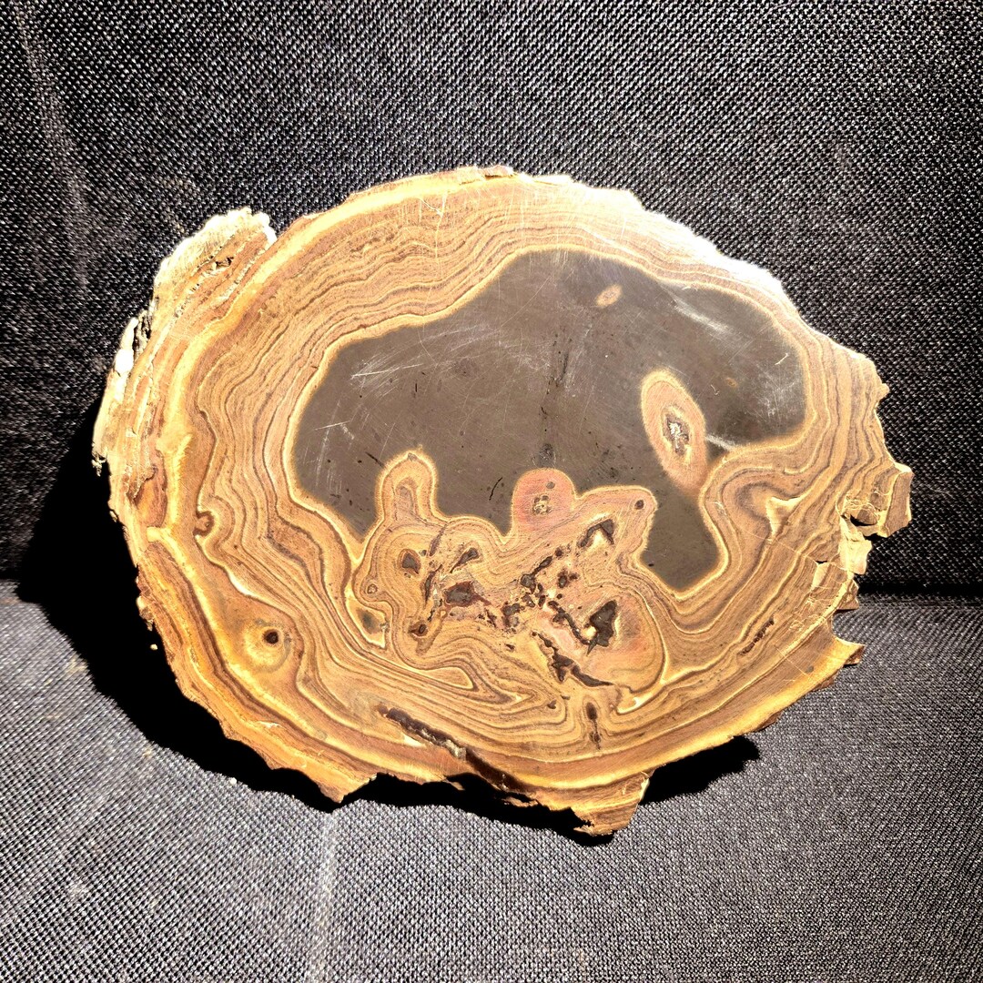 Ironstone Fossil Concretion / Dragons Stone / Nodule - Etsy