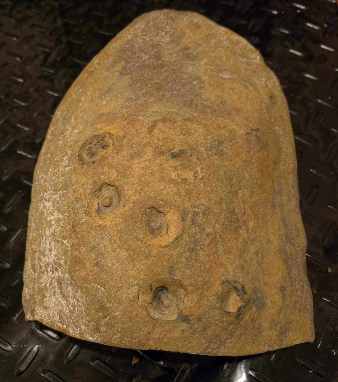 Raw Septarian Stone / Dragons Egg / Nodule W-ammonite Impressions - Etsy