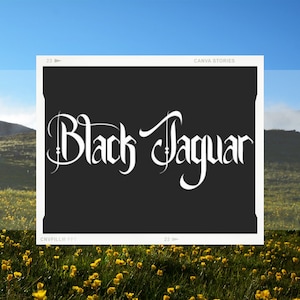 Black Jaguar Font Font for Cricut, Canva Fonts, Procreate Fonts ...