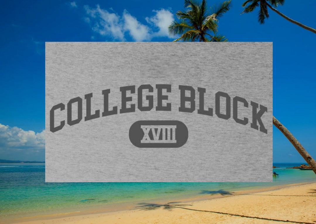 College Block Font Procreate Font, Logo Font, Script Font, Canva Font ...