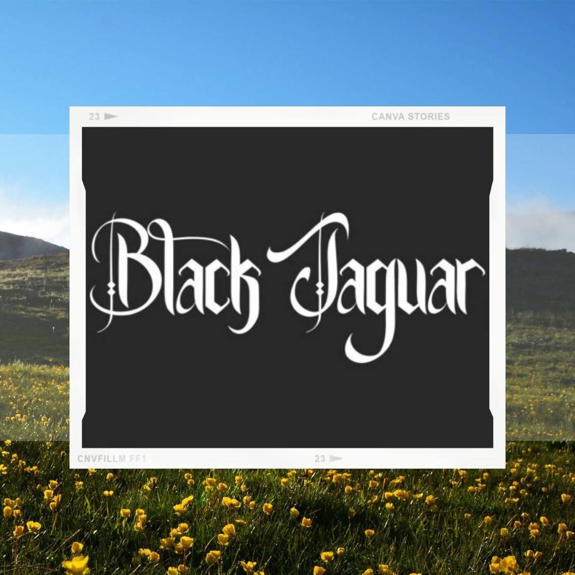 Black Jaguar Font Procreate Fonts, Wedding Fonts, Elegant Font, Bold ...