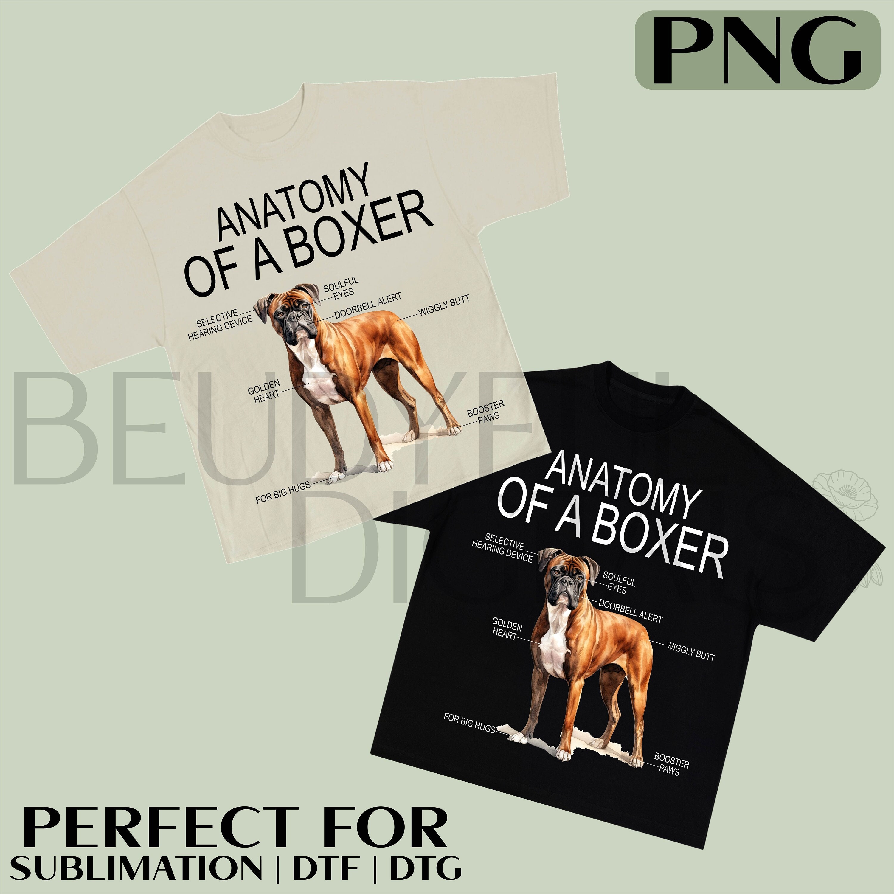 Anatomy of a Boxer Dog PNG, Cute Boxer Dog, Boxer PNG, Dog PNG, Dog ...