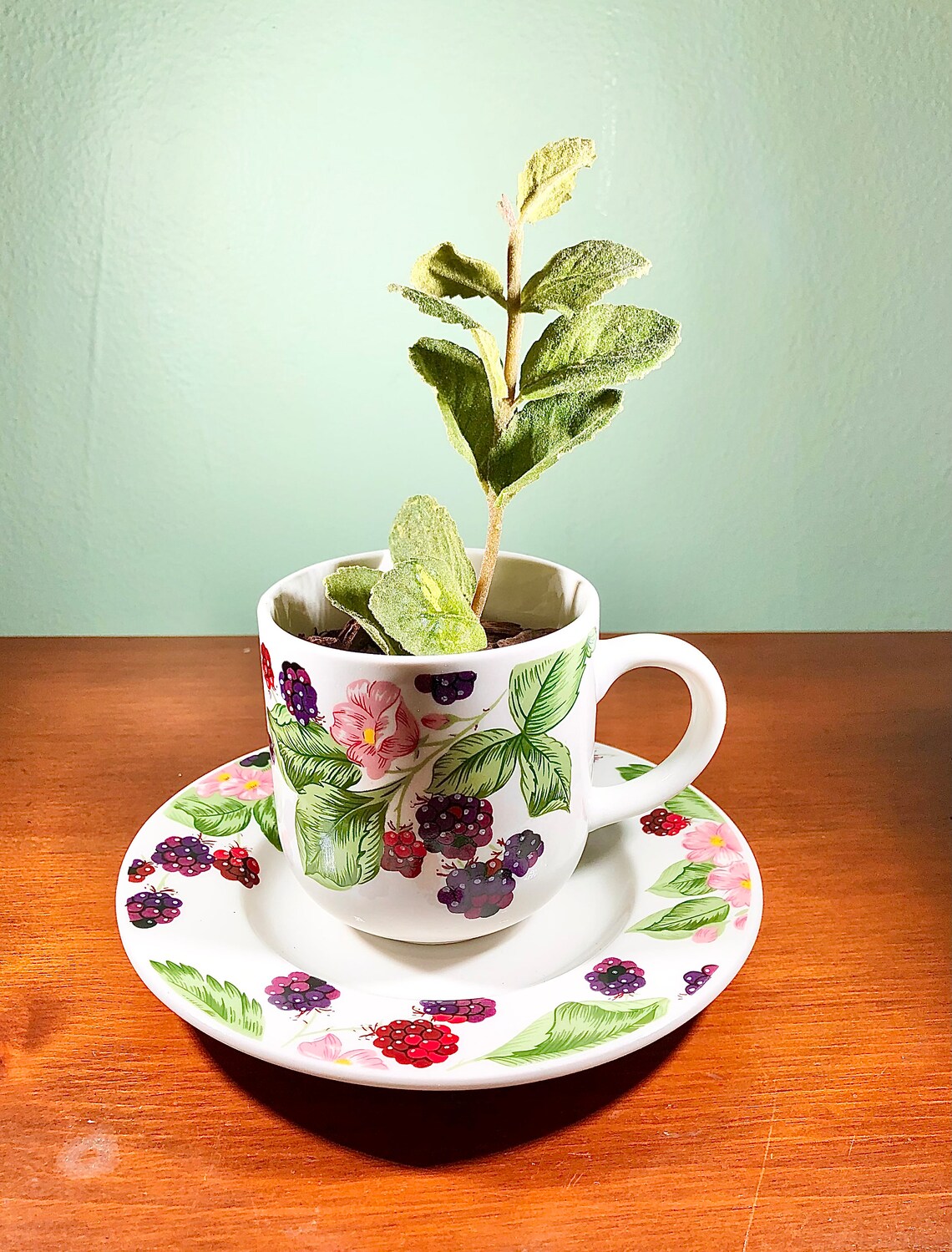 White Teacup Planter Set of 4 With Blackberry and Flower Pattern PLANTS ...