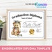 Editable Kindergarten Diploma Template, Gold Seal (canva) - Etsy