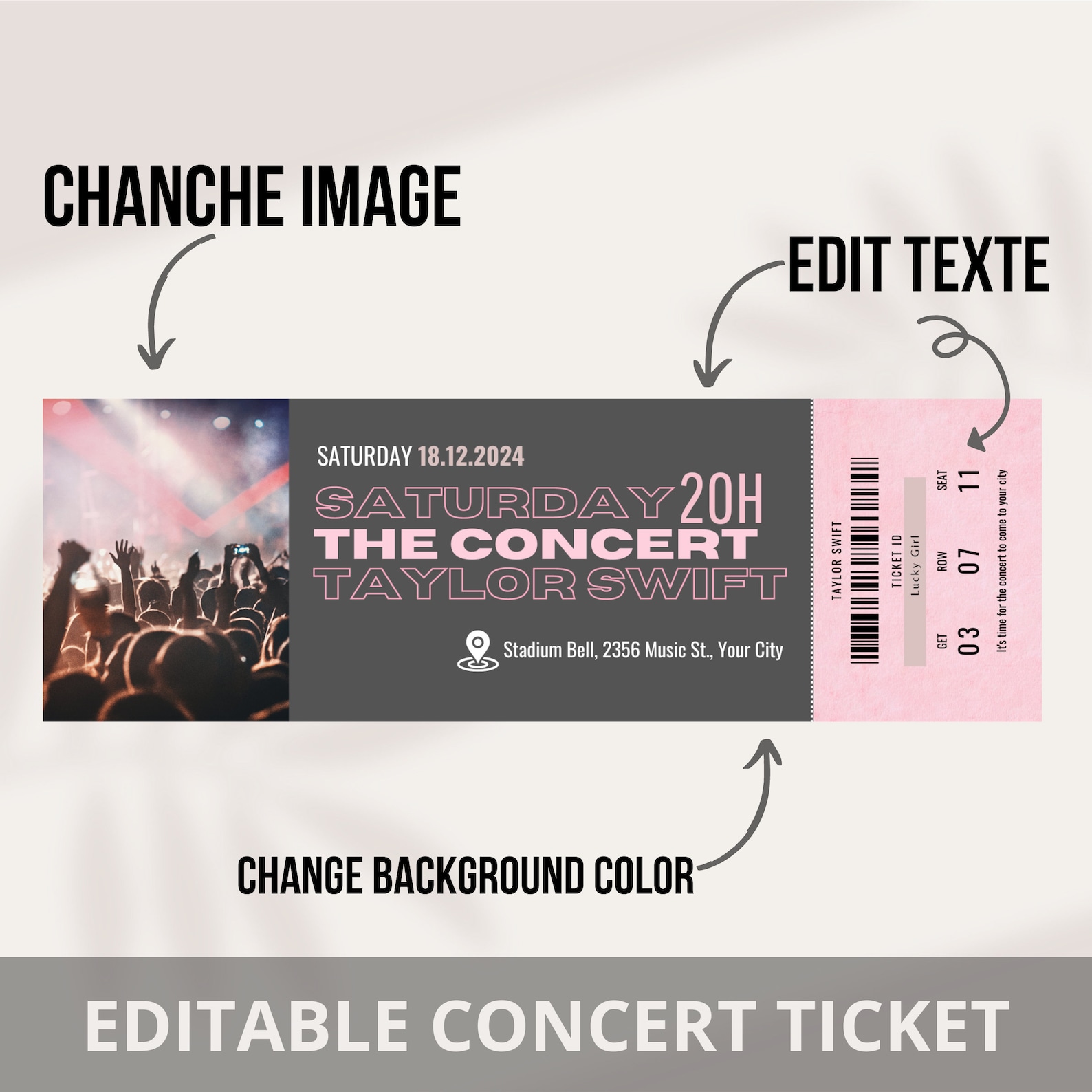 Editable Concert Ticket Template, Custom Concert Ticket Gift, Concert ...