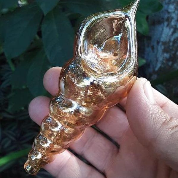 Seashell Pipe - Etsy