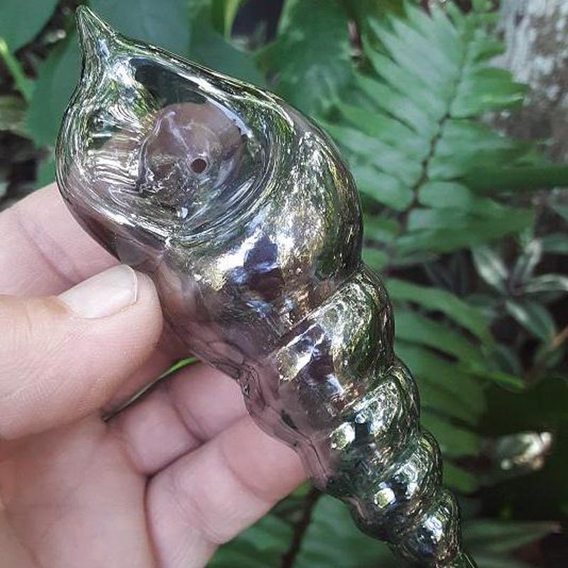 Shell Pipe - Etsy