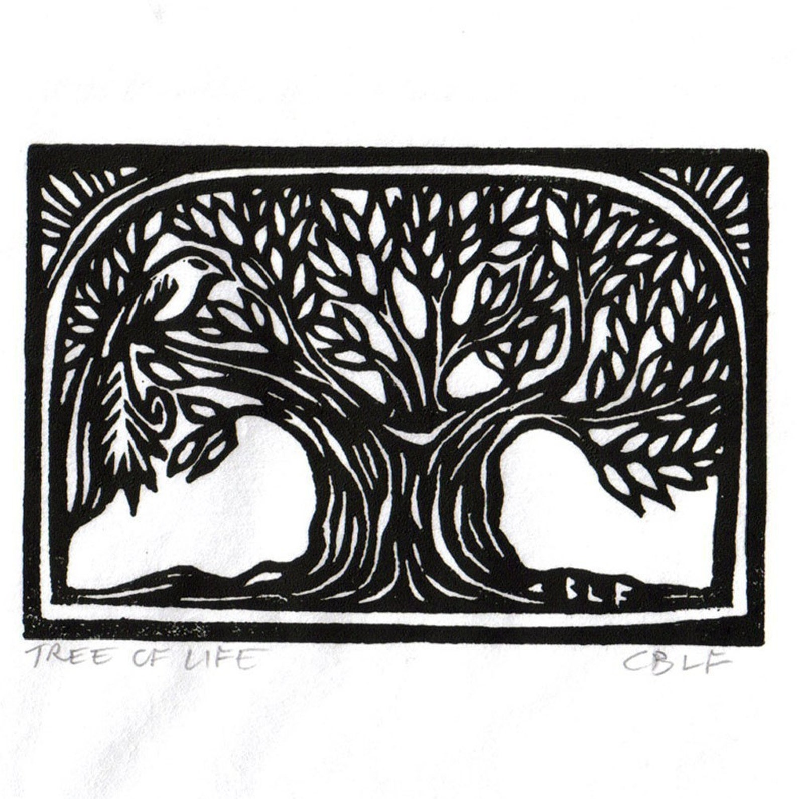 6 Card Set- Tree of Life Note Cards - Etsy