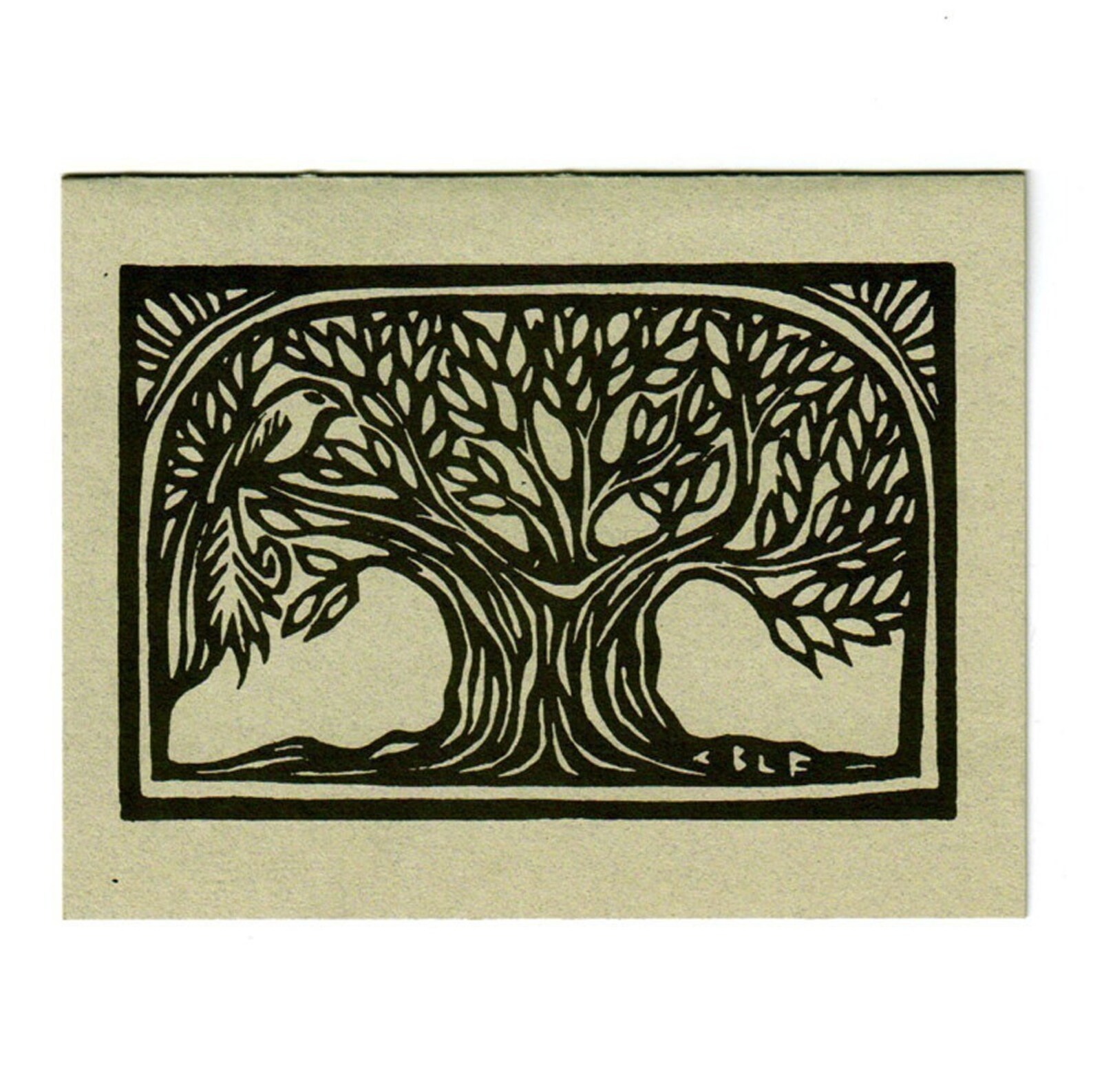 6 Card Set- Tree of Life Note Cards - Etsy