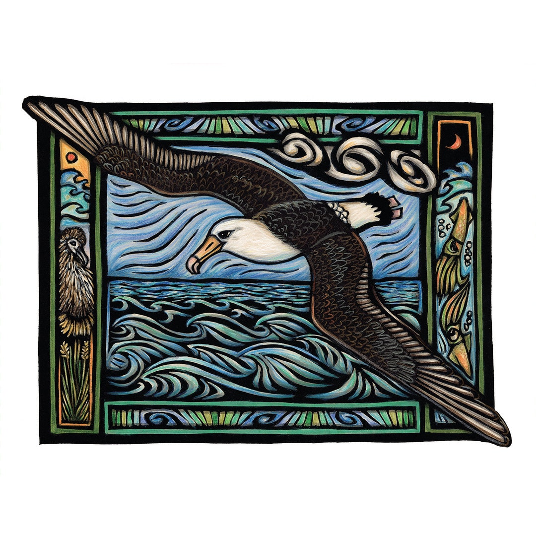 Albatross in Flight Note Card Set of Six - Etsy