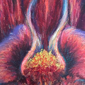 Red Iris Botanical Art Original Acrylic Canvas Painting Boho - Etsy