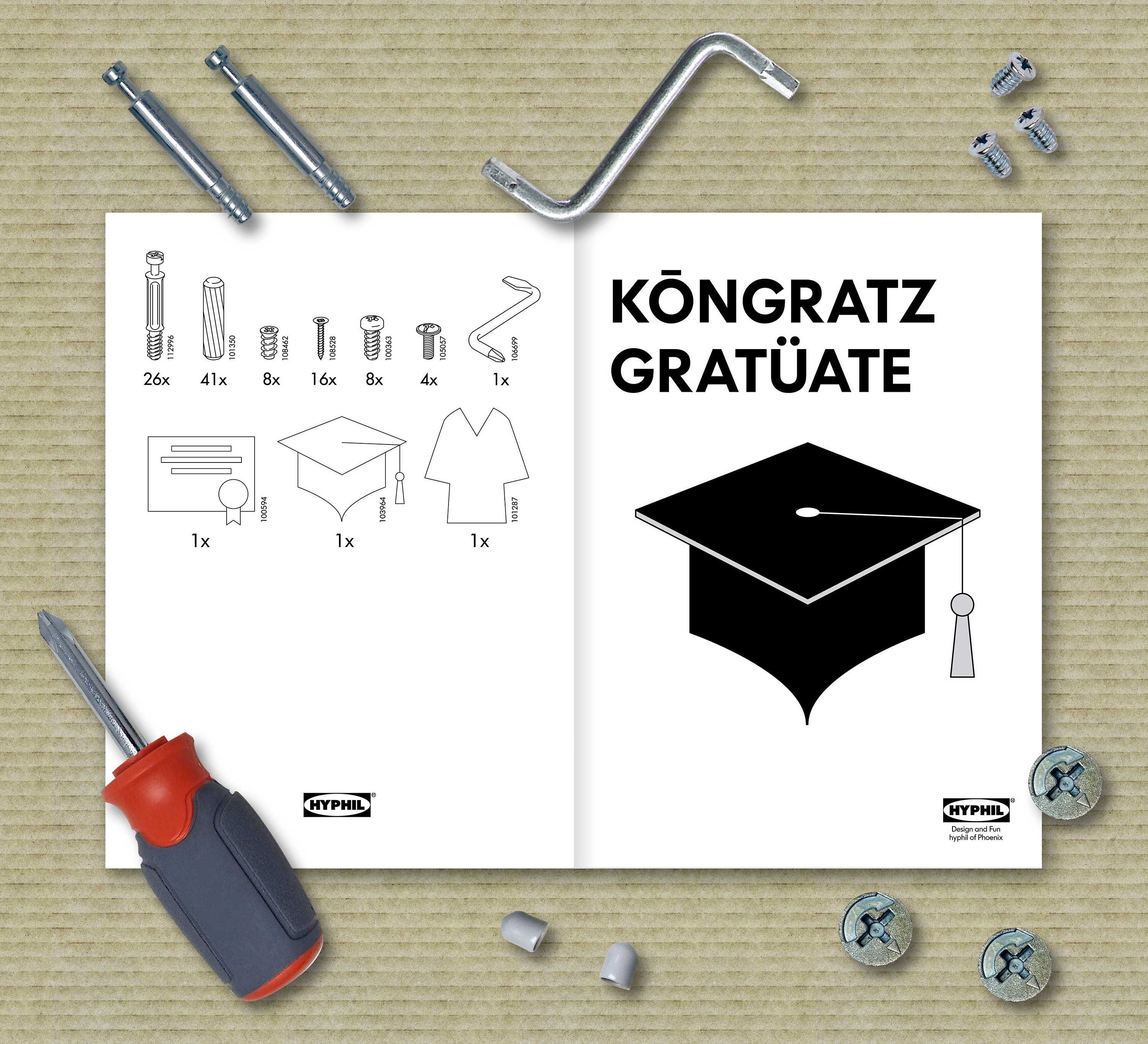 Graduation Greeting Card Ikea Instructions Parody - Etsy