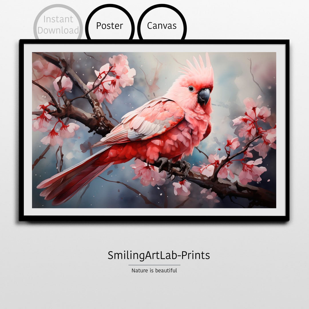 Pink Cockatoo Image as Poster or Canvas - Tropical Parrot With Pink ...
