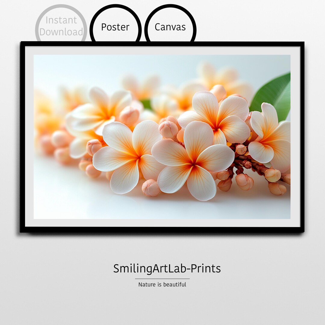 Frangipani Blooms - Photorealistic Image: Poster or Canvas - Plumeria ...