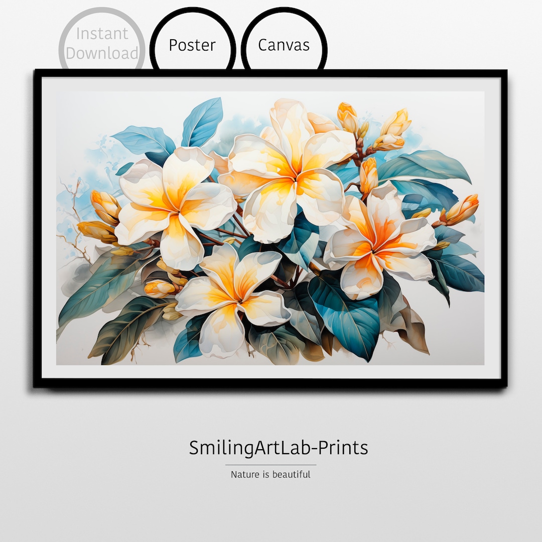 Frangipani Flower Painting as Poster or Canvas - Watercolor Frangipani ...