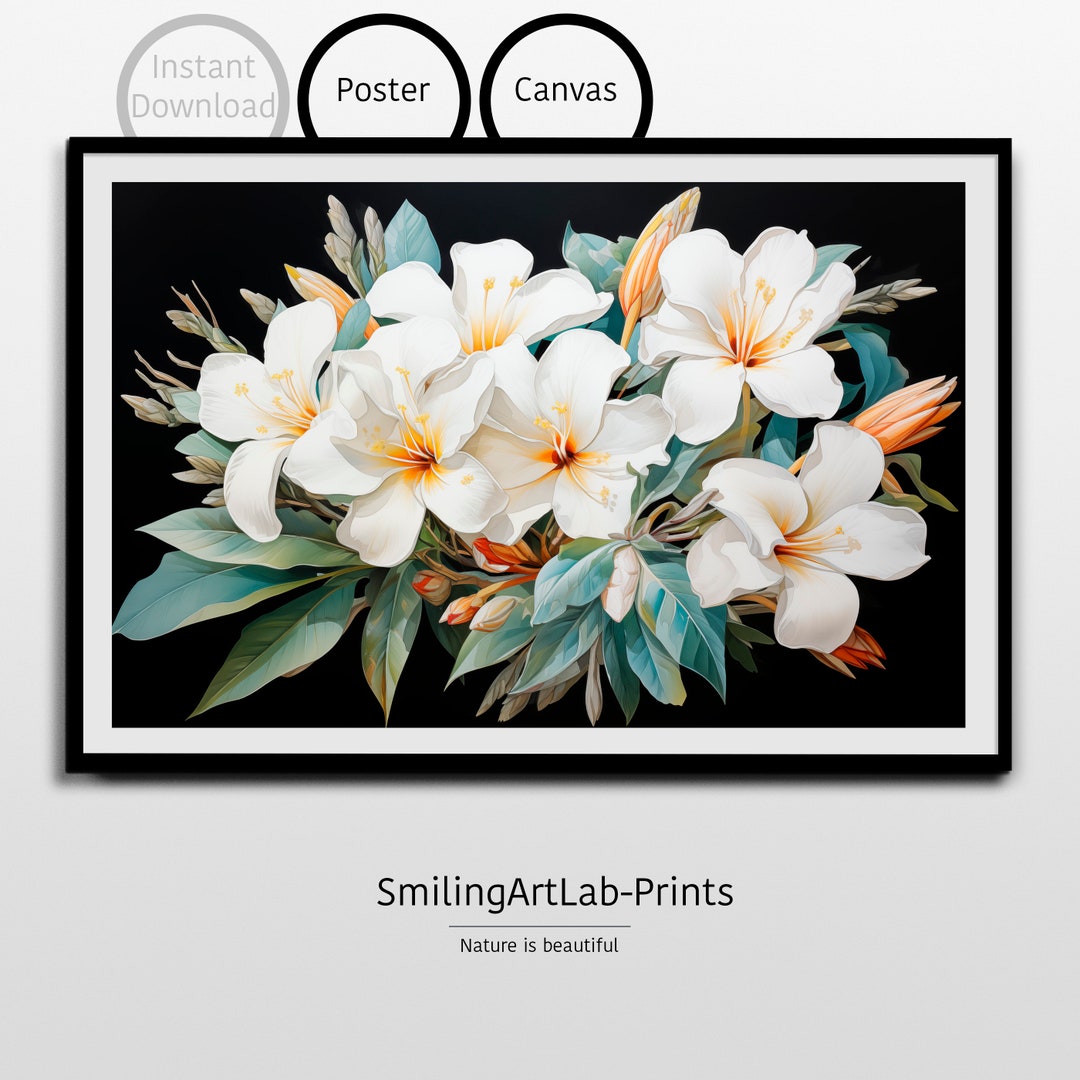 Frangipani Flower Painting as Poster or Canvas - Watercolor Frangipani ...