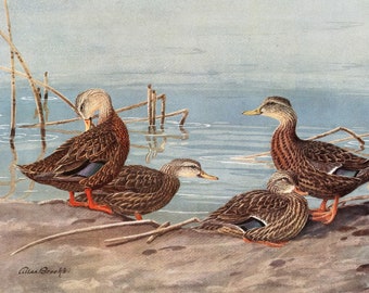 Donald Duck Boss, Digital File, Wall Art - Etsy