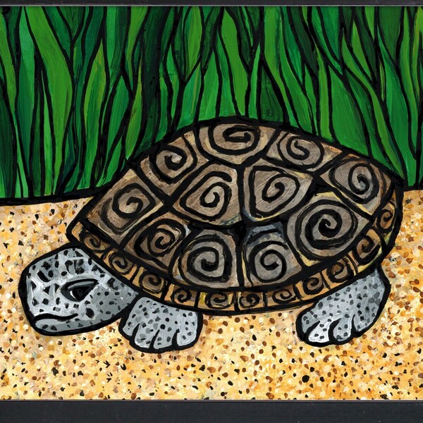 Terrapin Turtle - Etsy
