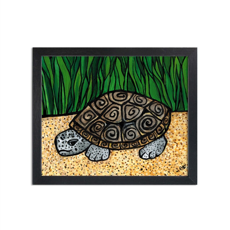 Diamondback Terrapin Print Turtle Art Print Animals of the - Etsy