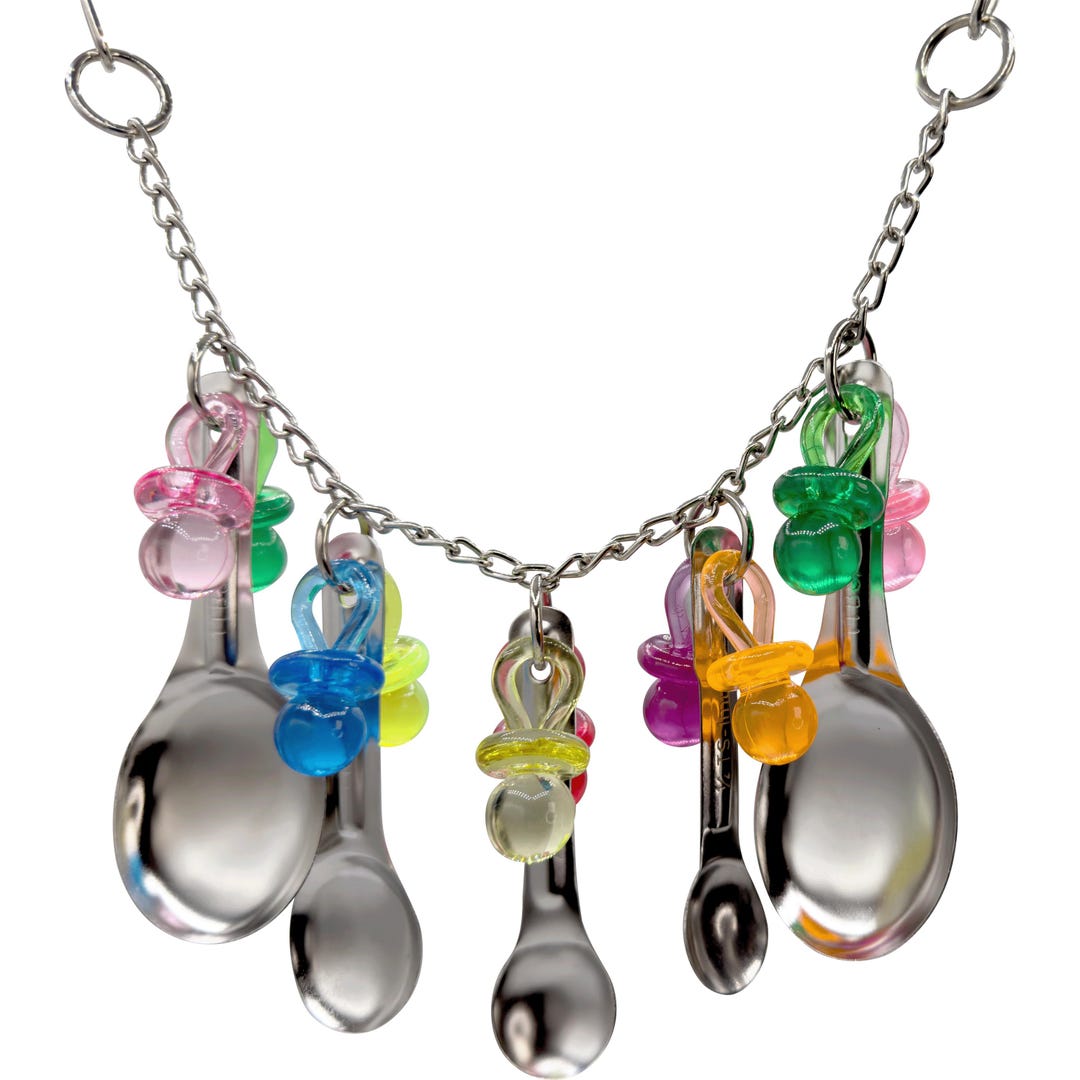 1969 Spoon Pacifier Shine Versatile Bird Cage Toy, Stainless Steel ...