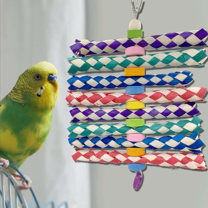 1243 Foamy Fingertrap Shredder Easy to Chew Hanging Bird Cage Toy ...
