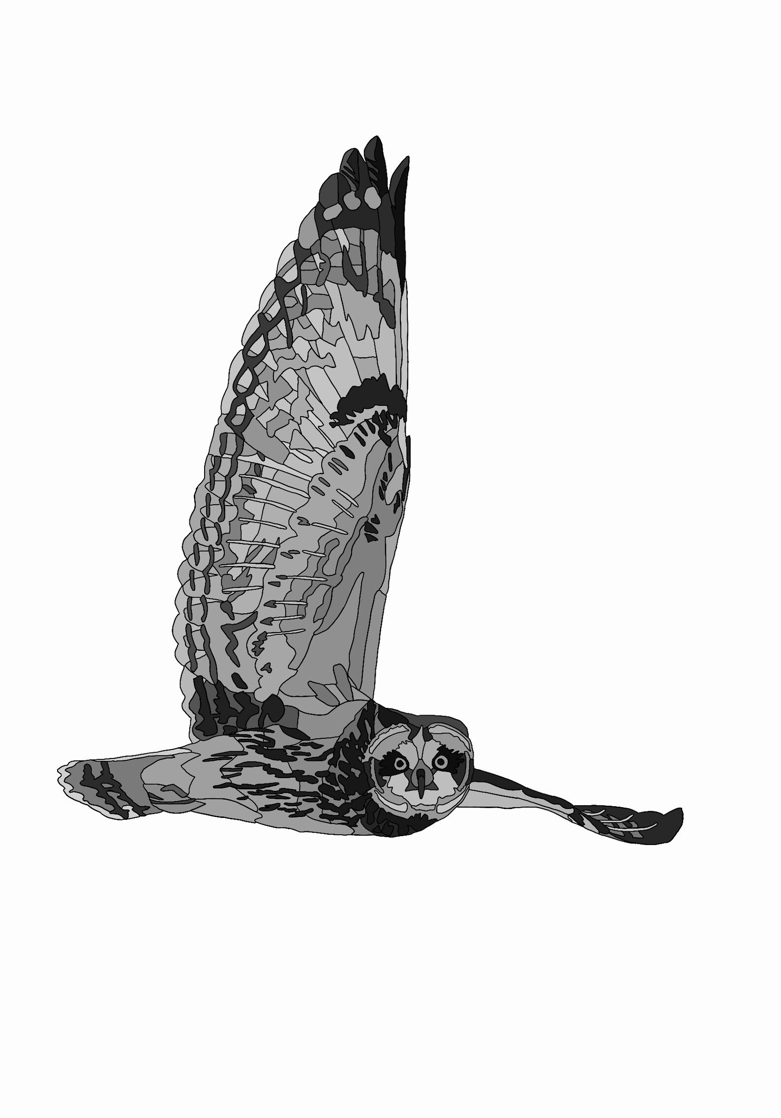 Digital Download Flying Owl Fabric Collage Pattern - Etsy