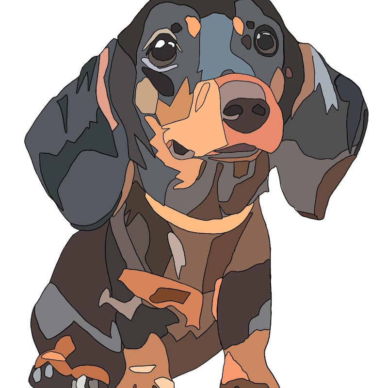 Collage Pattern Dachshund - Etsy