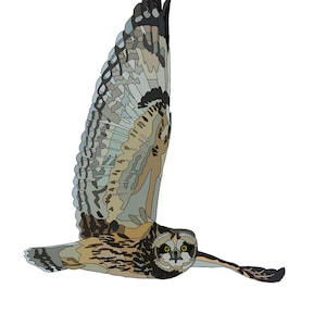 Digital Download Flying Owl Fabric Collage Pattern - Etsy