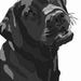 Digital Download Chocolate Lab Fabric Collage Pattern - Etsy