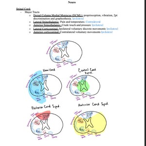 NTPE Physical Therapy Study Guide - Etsy