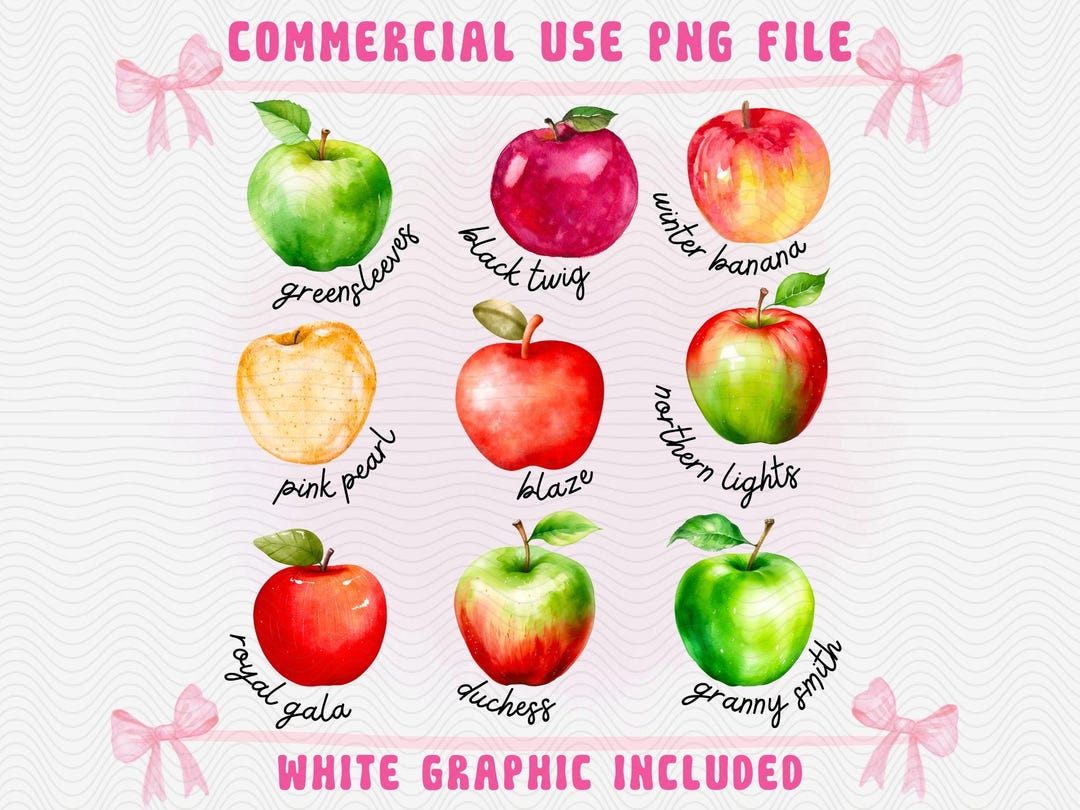 Apple Coquette Png, Coquette Aesthetic Png, Apple Png, Fall Shirt Png ...
