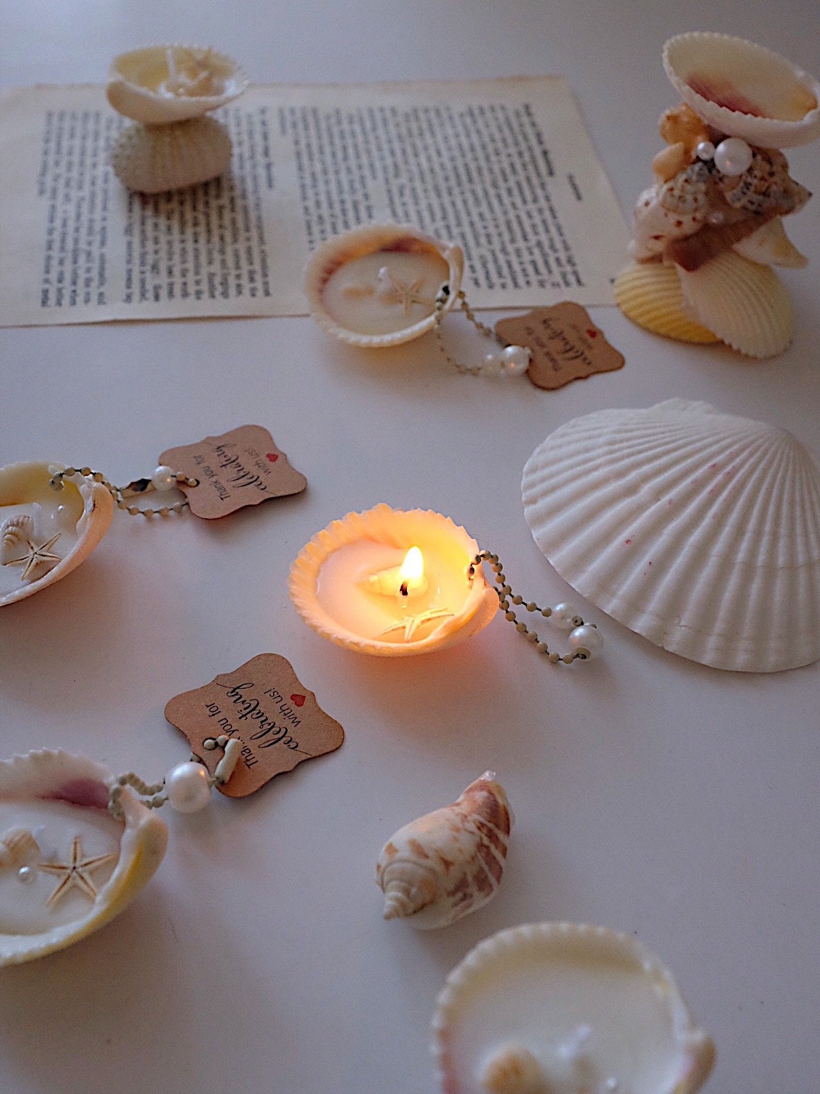 SEA SHELL Key Chains, Natural Seashell, Ocean Gift, Ocean Accessory ...