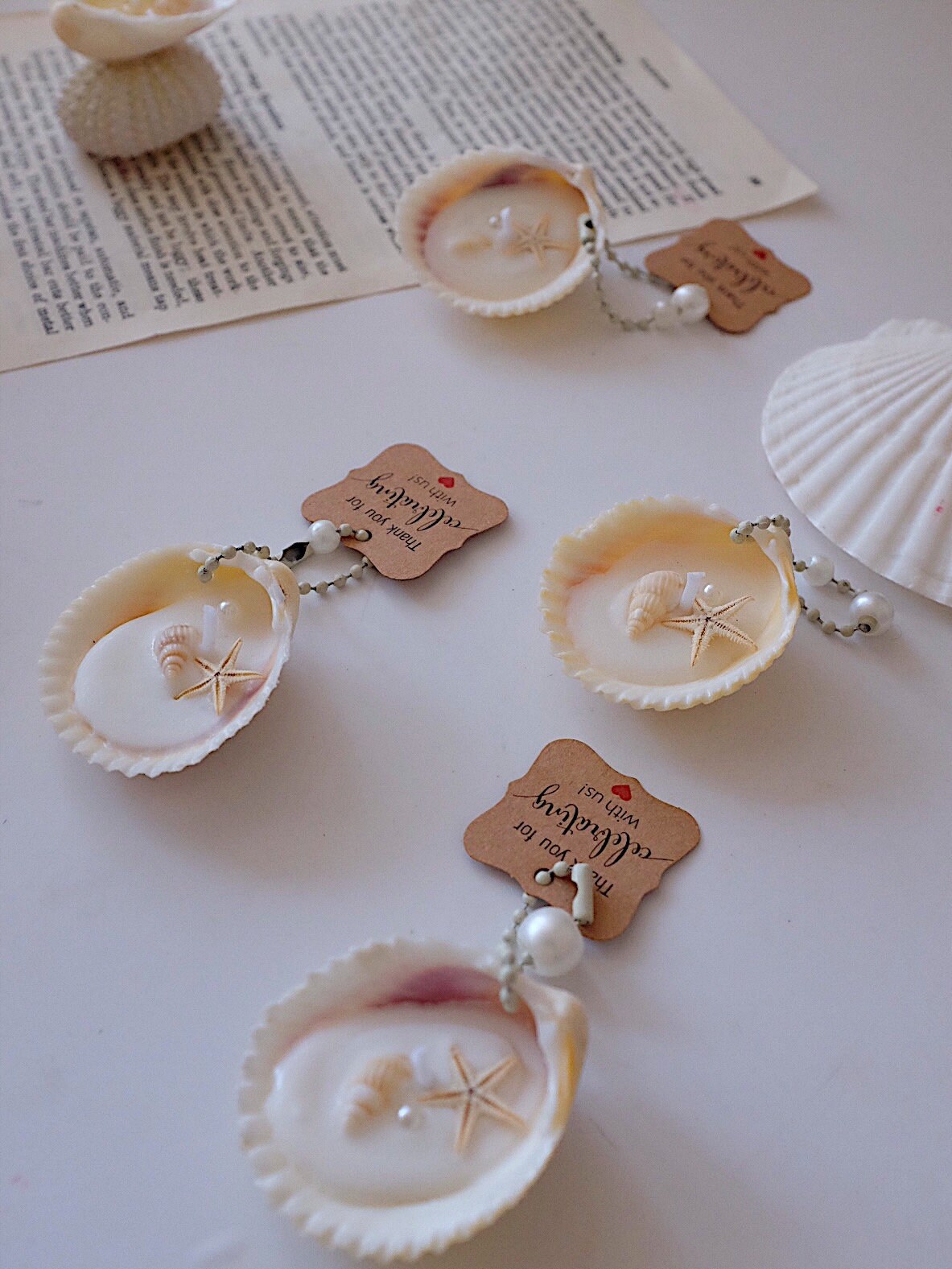 SEA SHELL Key Chains, Natural Seashell, Ocean Gift, Ocean Accessory ...